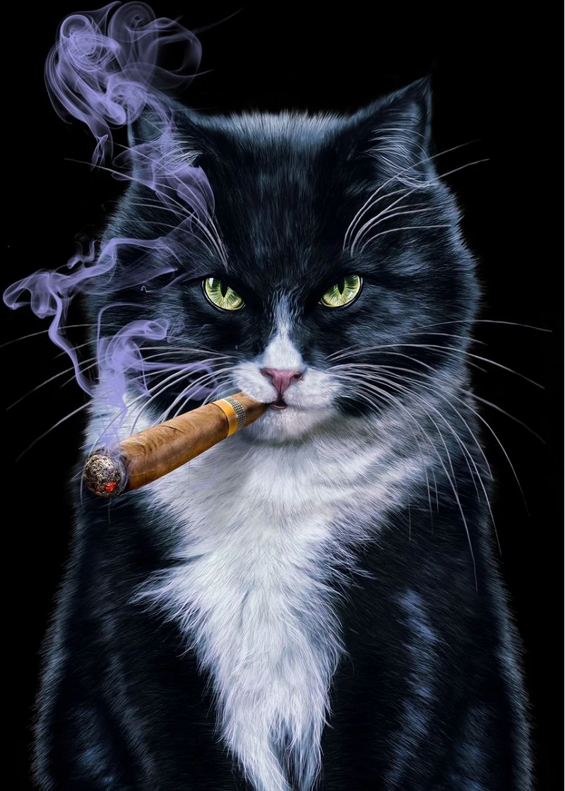 Animals Smoking Cigarettes Poster