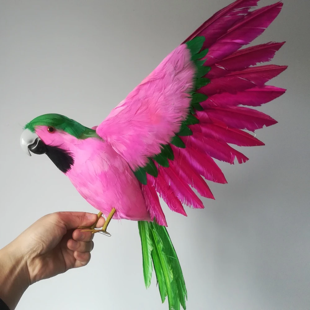 Pink Parrot Bird