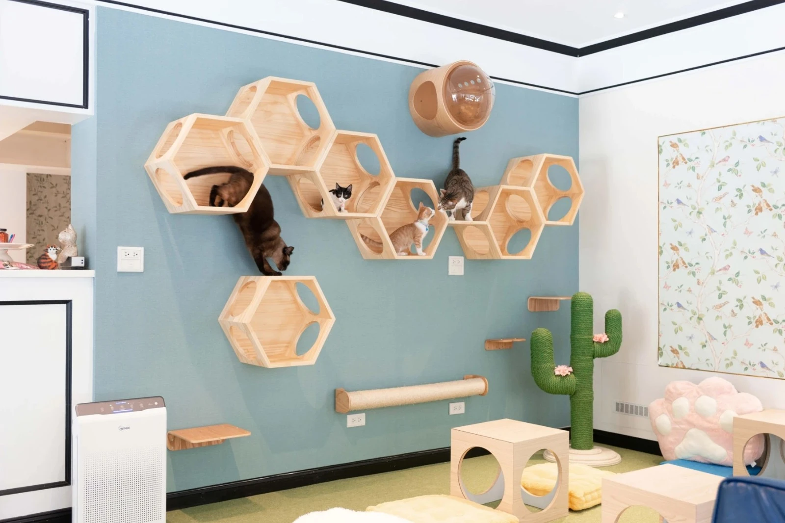 Pet cat climbing frame Wall mounted cat rack, warm luxury wooden space ...