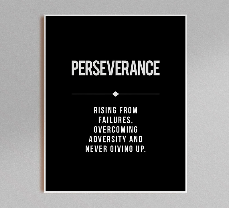 Persevere Definition