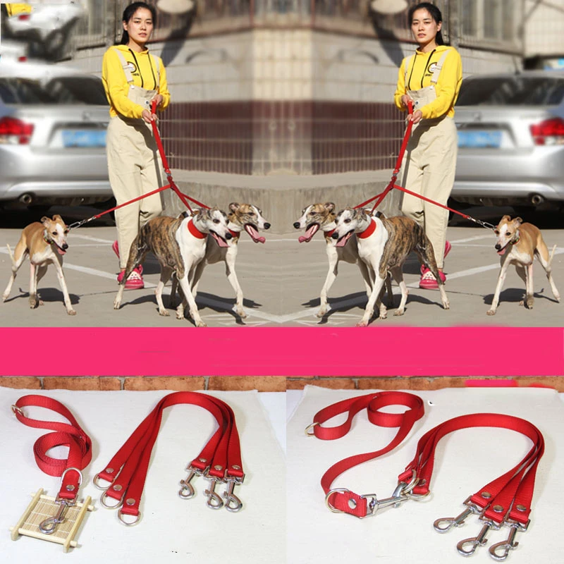 What Is A Dog Drag Leash