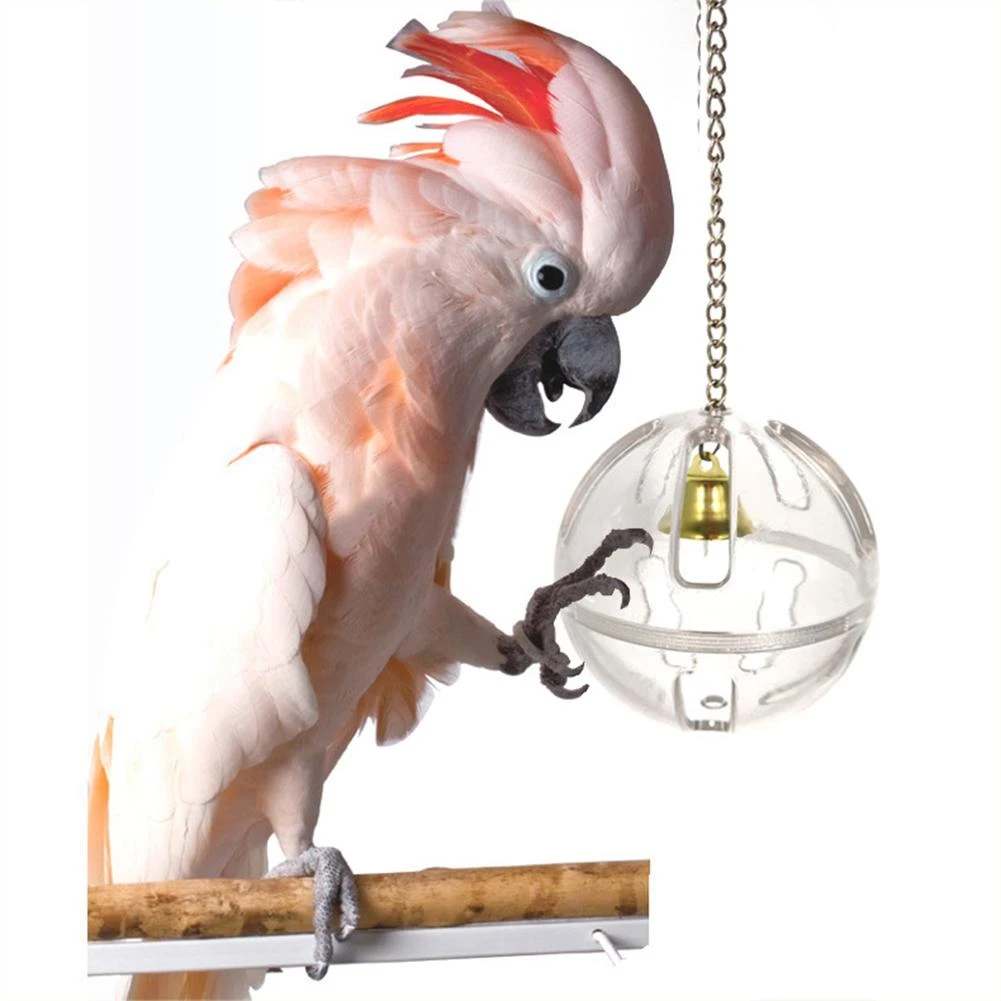 Pets Bird Parrot Food Feeder Foraging Bell Chain Ball Cage Feeding Chew ...