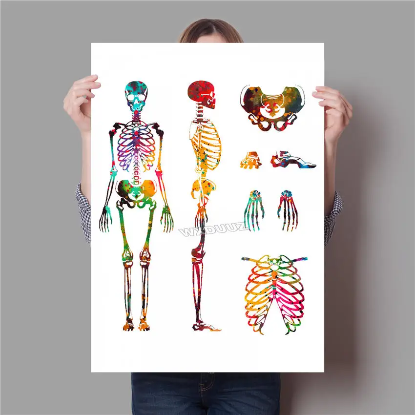 Human Anatomy Painting