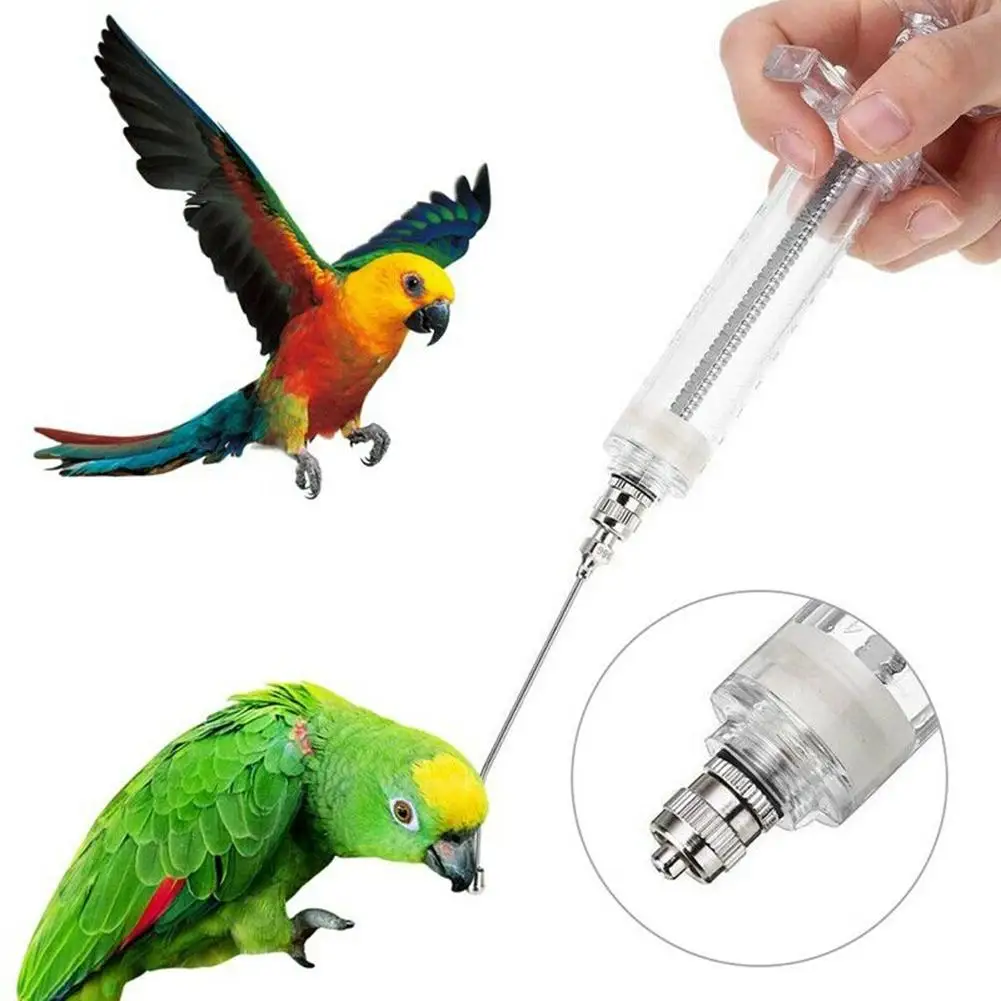 Parrot Feeding Syringe Parrots Bird | Syringes Feeding Free Parrots ...