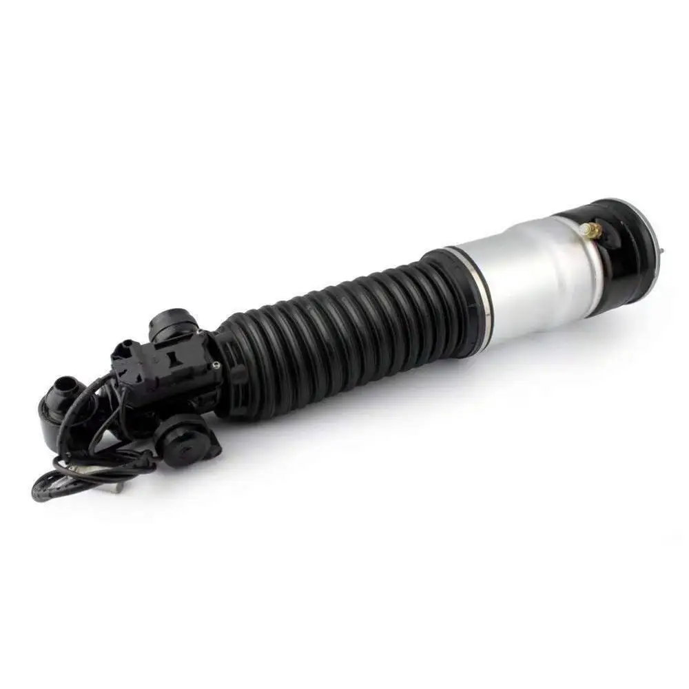 Rebuild Original Genuine Rear Right Shock Absorber Air Suspension ...