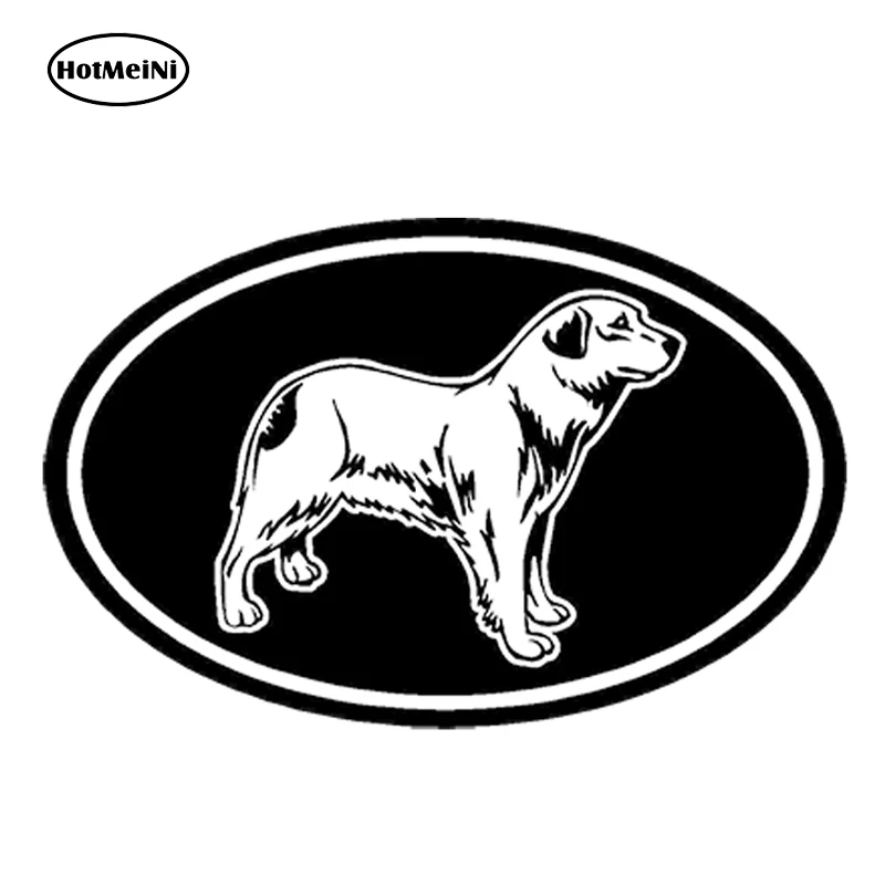 What Is The Breed Of Aidi