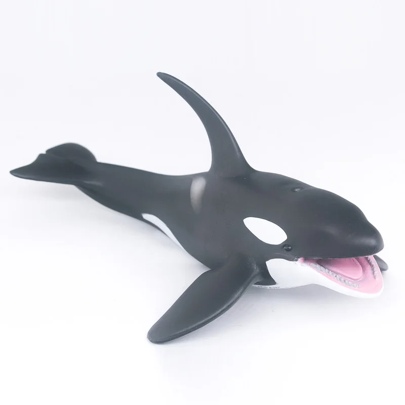 CollectA Wild Life Animals Sea Ocean Orca Killer Whale Plastic Toy ...
