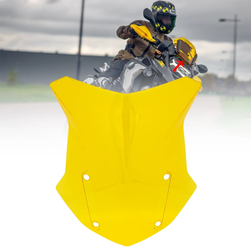 R1250GS-40th-Anniversary-Edition-Windscreen-Windshield-Wind-Shield ...