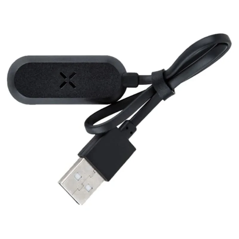 USB Charger cord +Charger dock FOR PAX2 PAX 2 PAX3 PAX 3 - Smart Home ...
