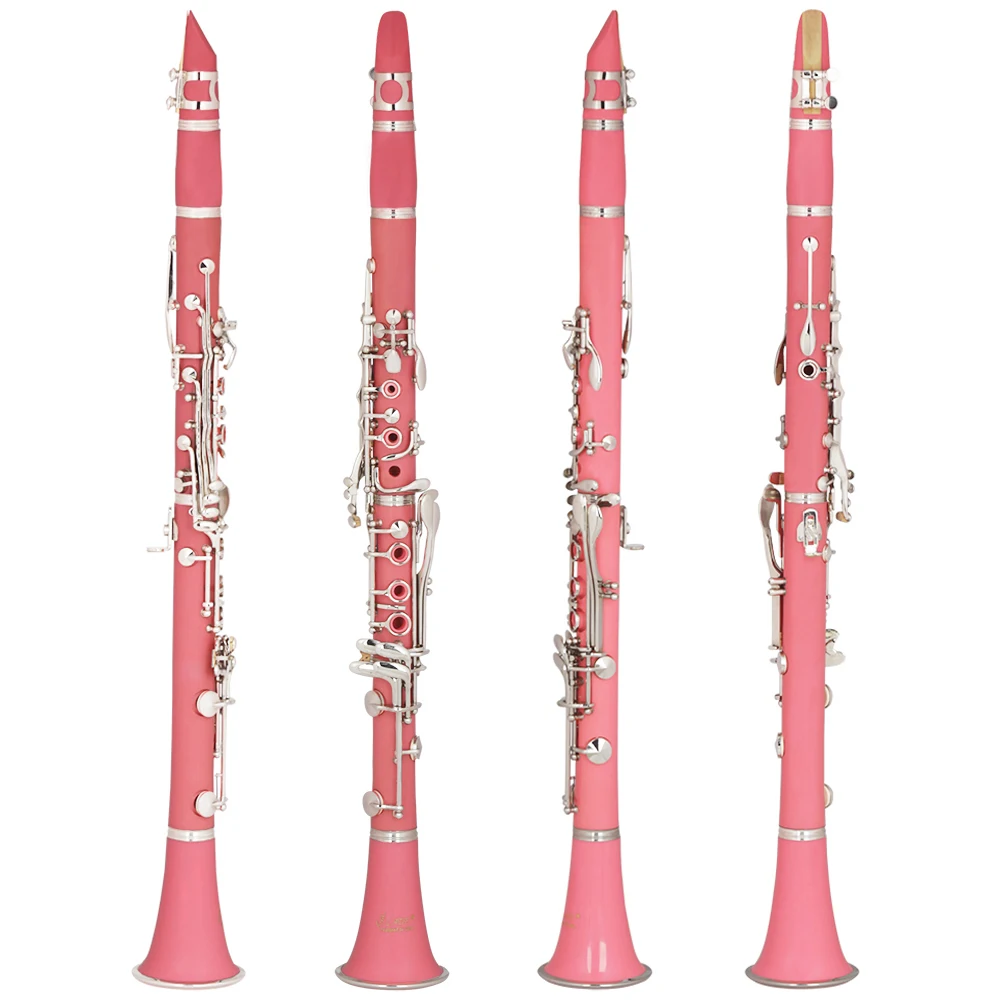 Colorful Clarinet Cases