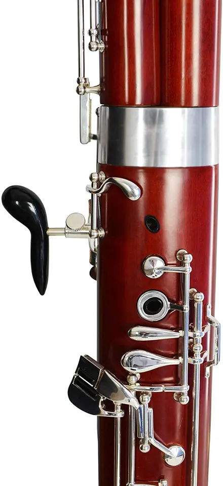 Adam Audio DZDZDZ Oboes Beginner Professional Oboe C Key Semi-automatic ...