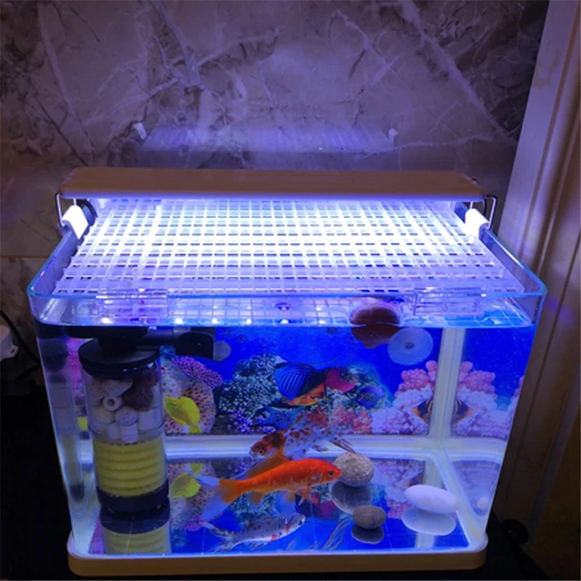 20 Gallon Fish Tank HingoFuni MiDube Fish Tank Divider Aquarium Acrylic ...