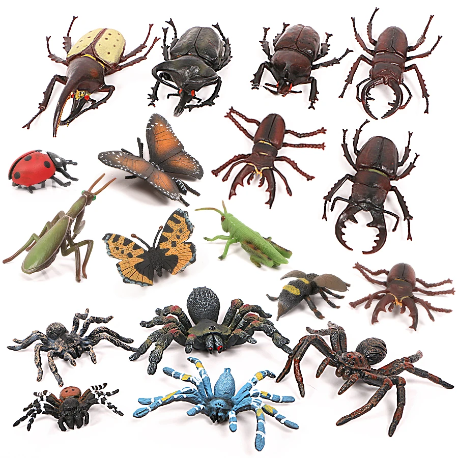 Insect Models Simulation Stag Beetle Spider Honeybee Lady beetle Mantis ...