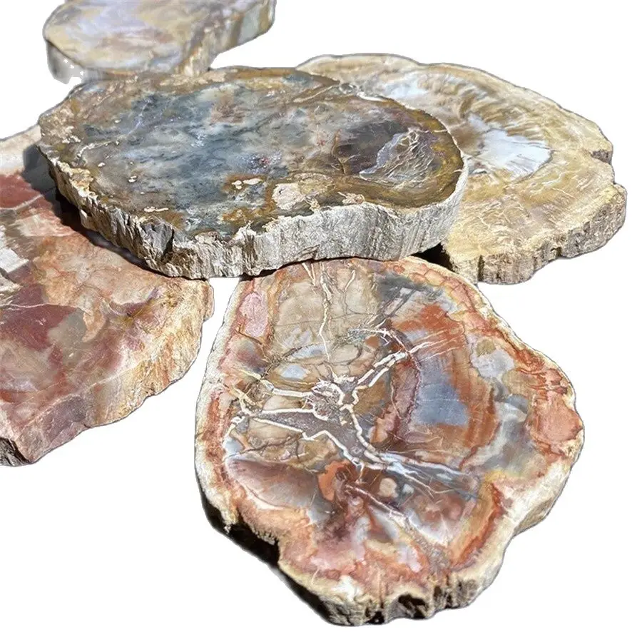 100-1000g-Natural-Crystal-Woodstone-Fossil-Tree-For-Coaster-Home ...
