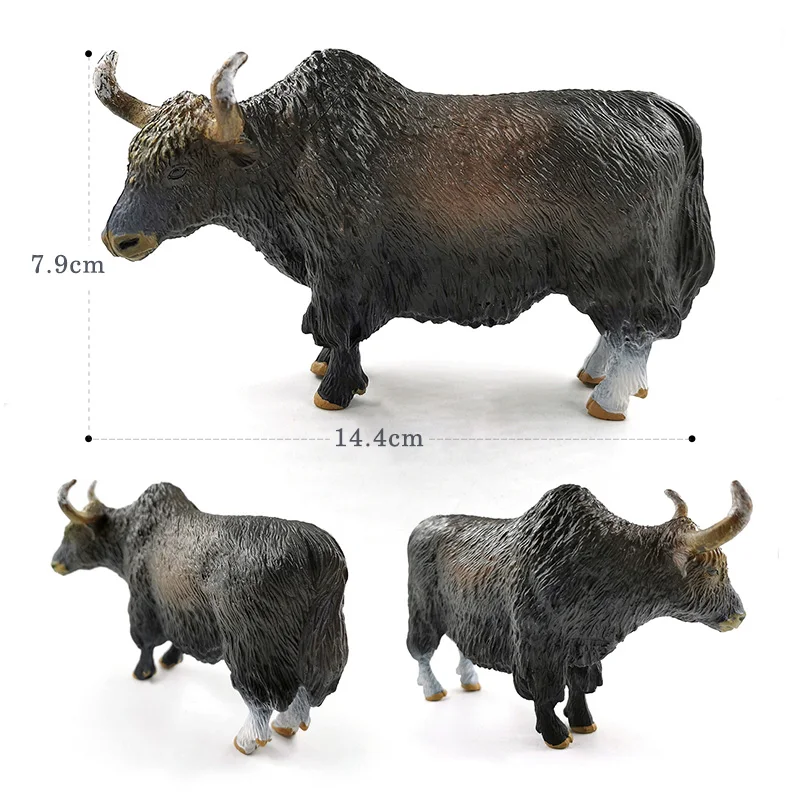 Yak Bull