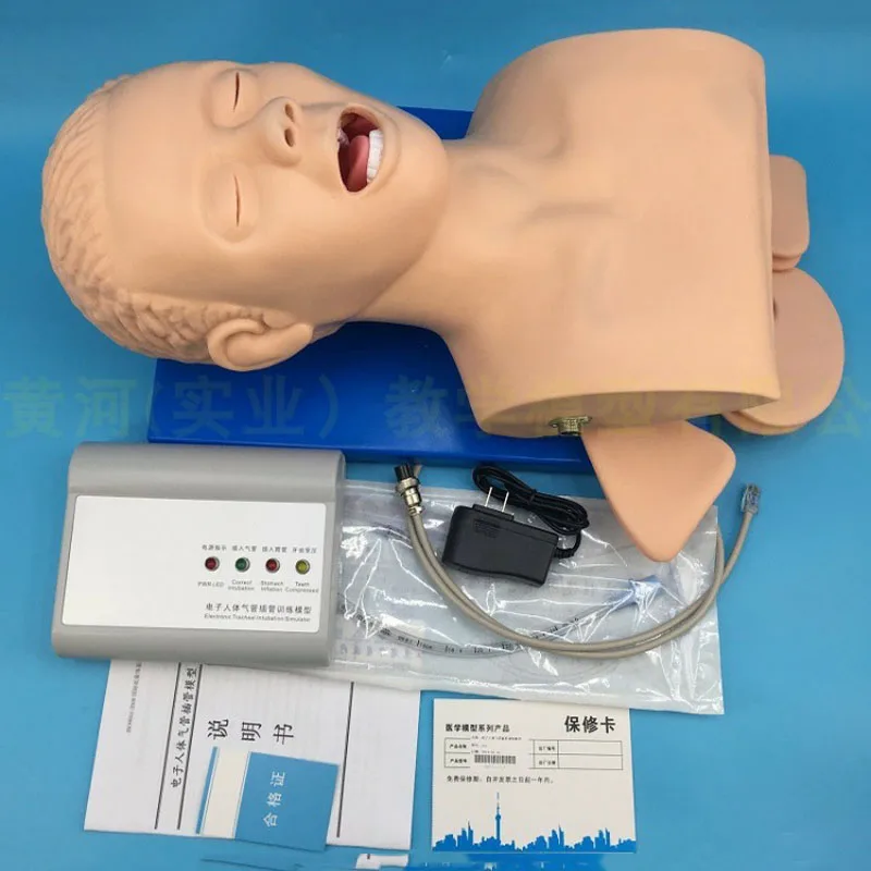 Intubation-human-body-model-learning-teaching-model-airway-management ...