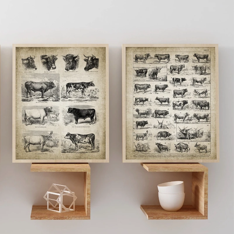 Antique-Cow-Breeds-Canvas-Art-Prints-Farm-Poster-Vintage-Dairy-Cattle ...