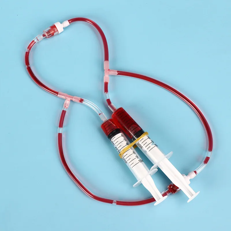 Human Blood Vessel Circulation Model Biological Capillary Models ...