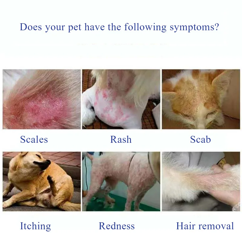 Pruritus Cat | ppgbbe.intranet.biologia.ufrj.br