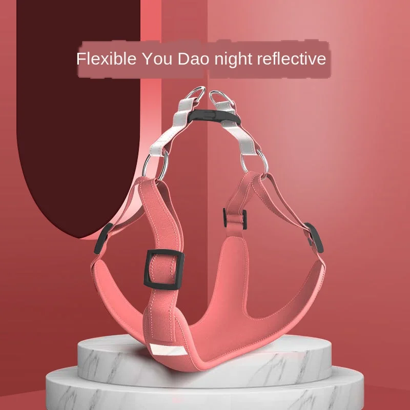 Trela-reflexiva-do-animal-de-estima-o-corda-reflexiva-c-o-corda-camur-a ...