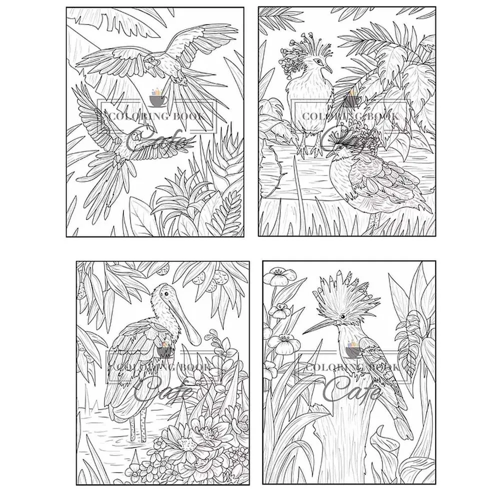 Tropical Rainforest Coloring Pages
