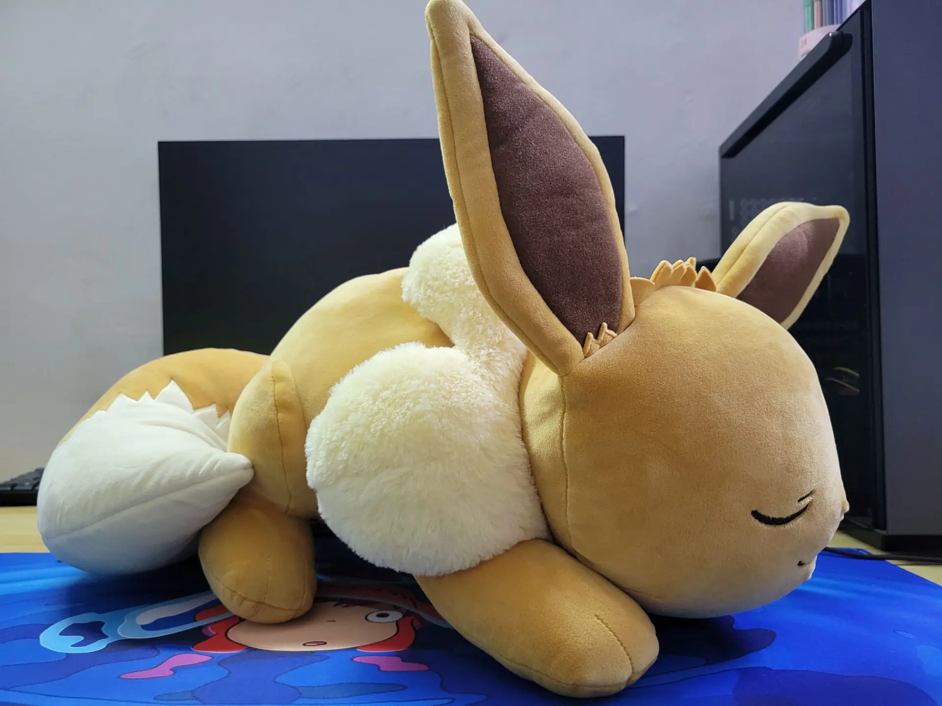 Authentic Pokemon Sleepy Eevee & Charmander Huge 50cm Soft Plush ...