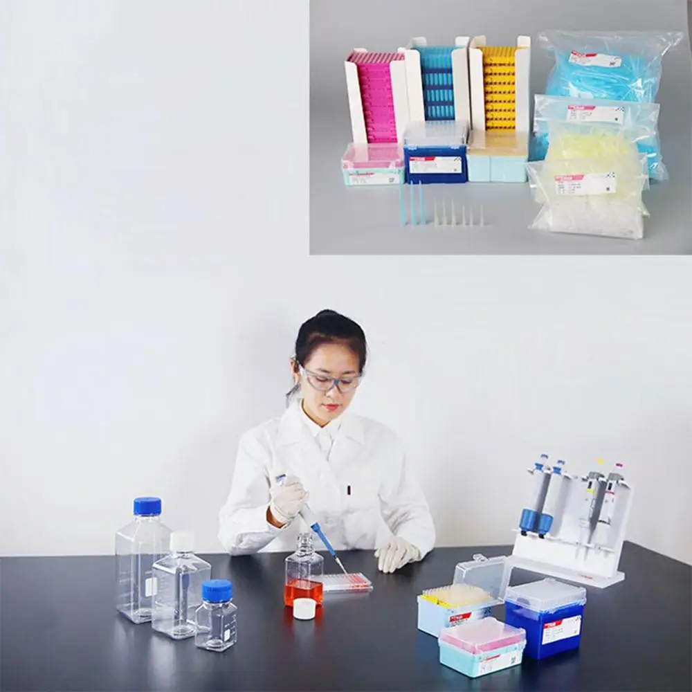 Laboratory Supplies Linetype Pipette Holder Laboratory Storage Rack ...
