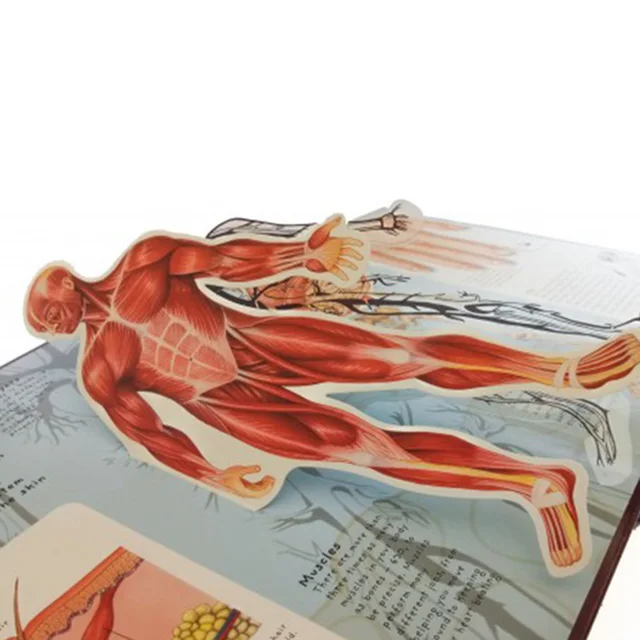 Ons Lichaam Anatomy Book 3d Online Cheap | nationaldefensepac.org