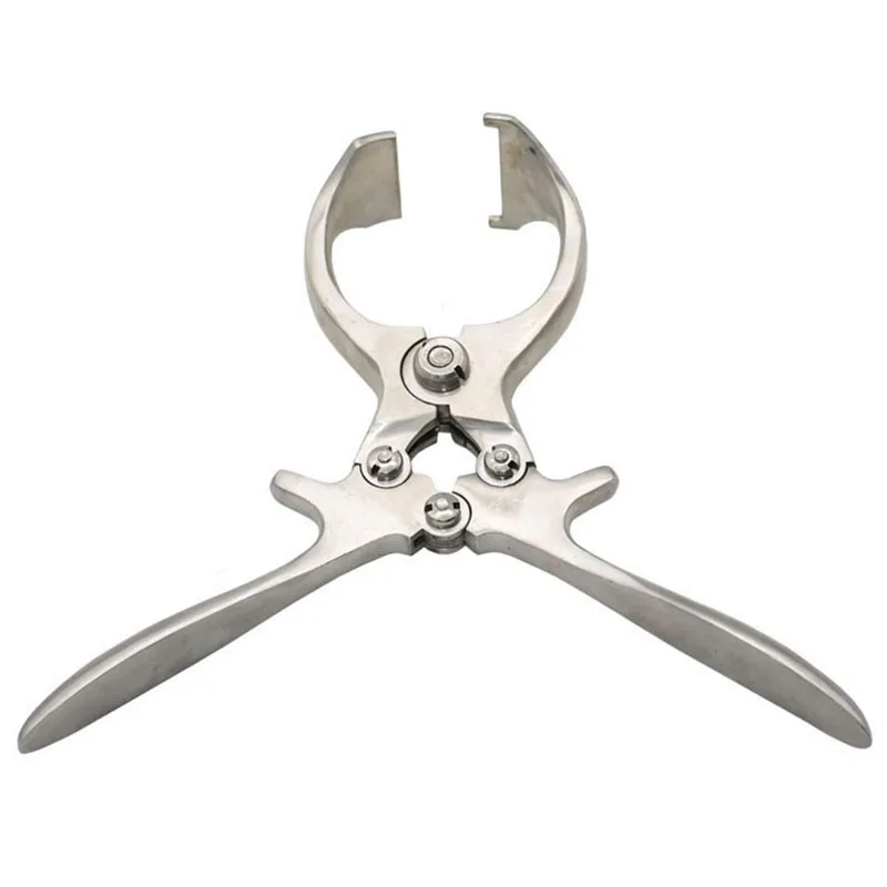 2 Pcs Livestock Tools Stainless Steel Without Blood Pig Sheep ...