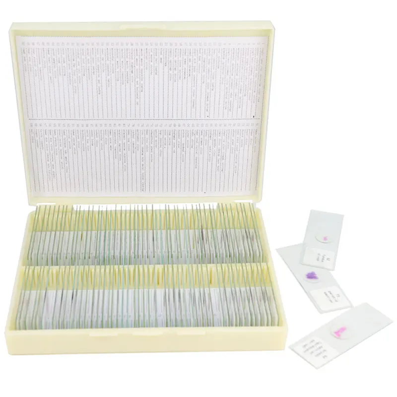 Biological-100pcs-BOX-Prepared-Glass-Slice-Human-Tissue-Sections ...