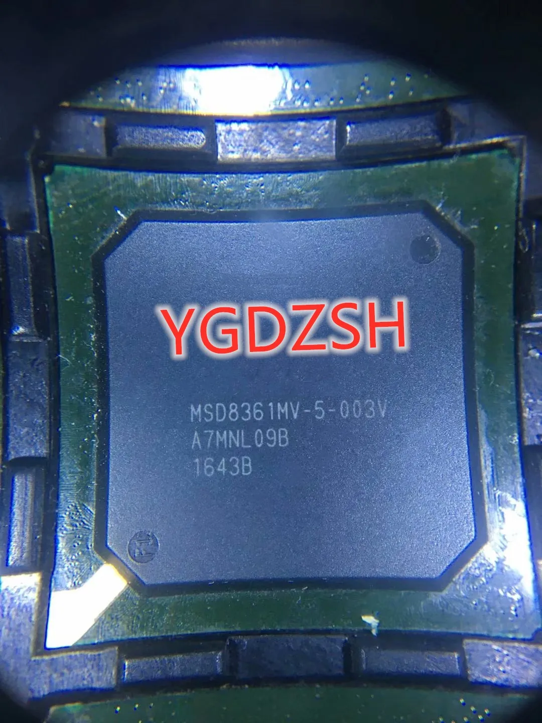 1PCS-LOT-MSD8361MV-5-003V-NEW-IN-STOCK.jpg