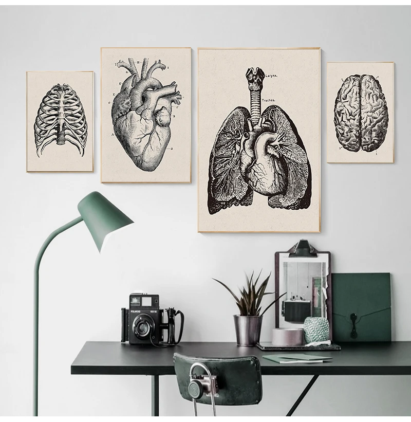 Human Anatomy Wall Art Hospital Vintage Posters And Prints Doctor ...