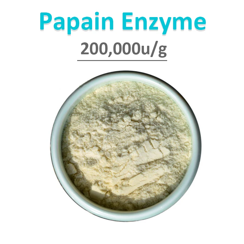 Papain Powder