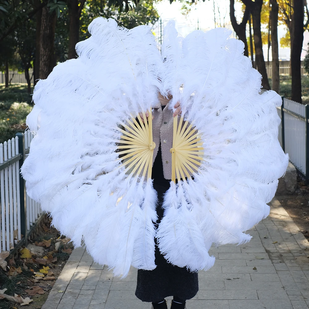 Ostrich Feathers Fan