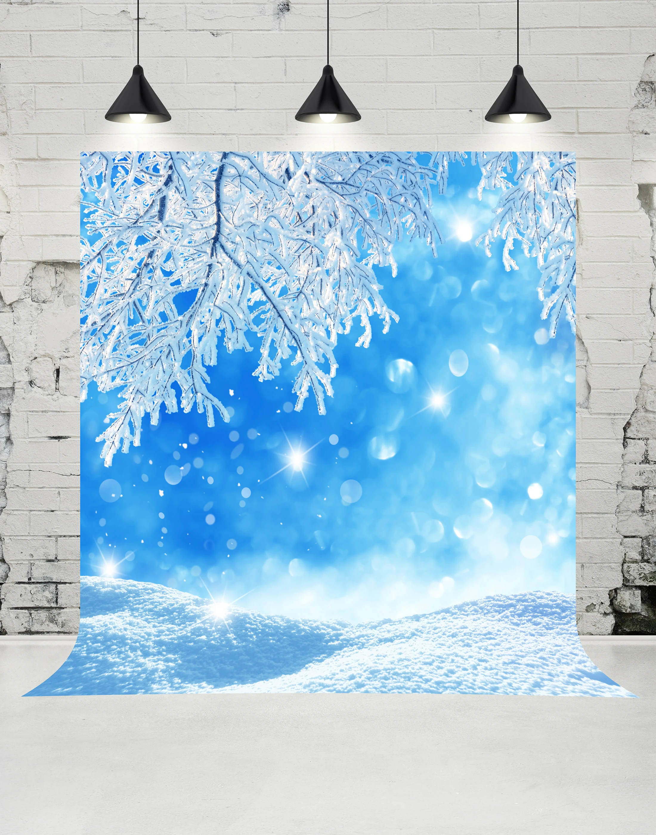 VinylBDS Winter Snow Photography Backdrops Christmas Sunny Photo Studio ...