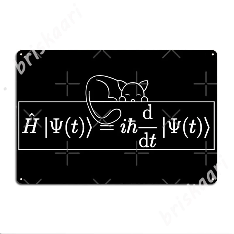 Schrodinger Equation Cat
