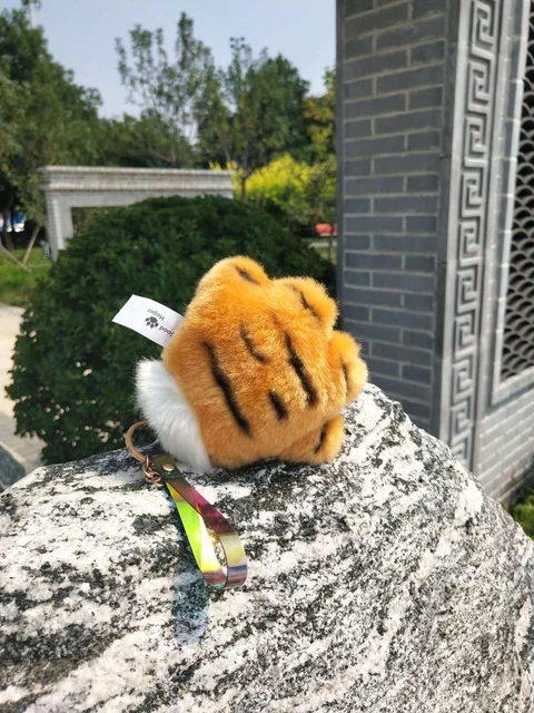 Animasi Cakar Harimau