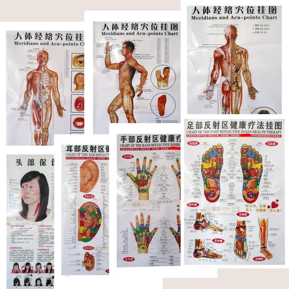 Generic 7pcs/set Acupuncture Massage Point Map Chineseenglish Meridian ...