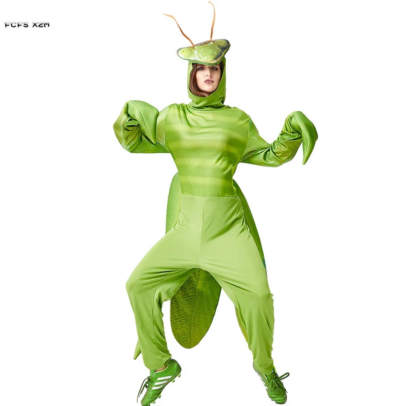 Página principal Productos Promo Aniversario Comentarios