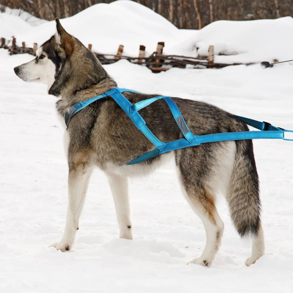 Dog Sled Pulling Harness