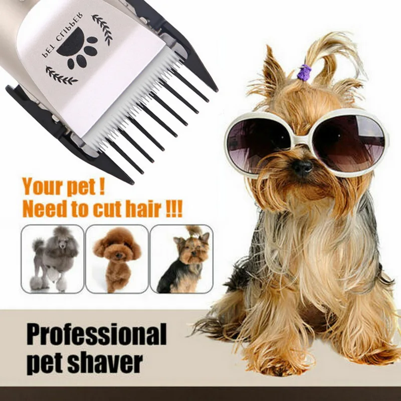 Tondeuse chien,Tondeuse professionnelle pour chien animaux toilettage ...