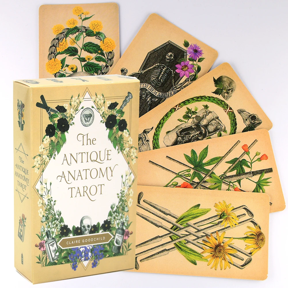 The Antique Anatomy Tarot 78 Cards Deck English Version Classic Tarot ...