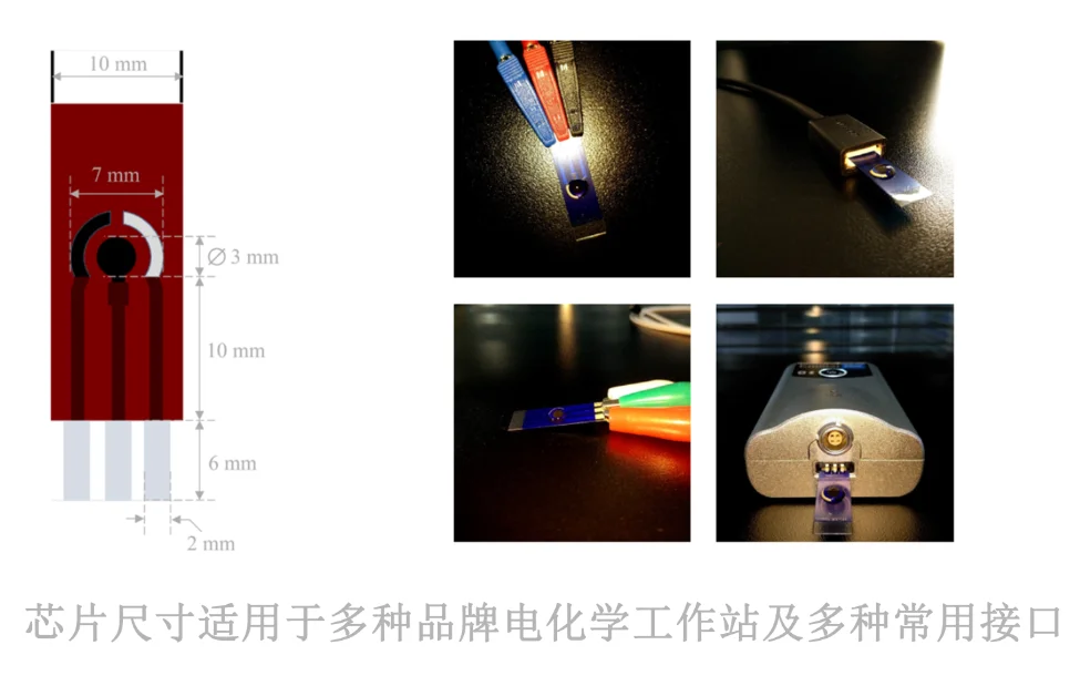 Custom-Multi-Channel-Electrochemical-Biosensor-Chip-Screen-Printing ...