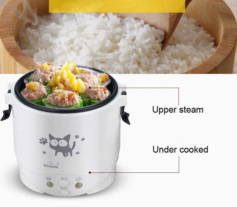 Portable Rice Cooker 220v 12V 24V for Car/Truck Mini Lunch Box Food ...