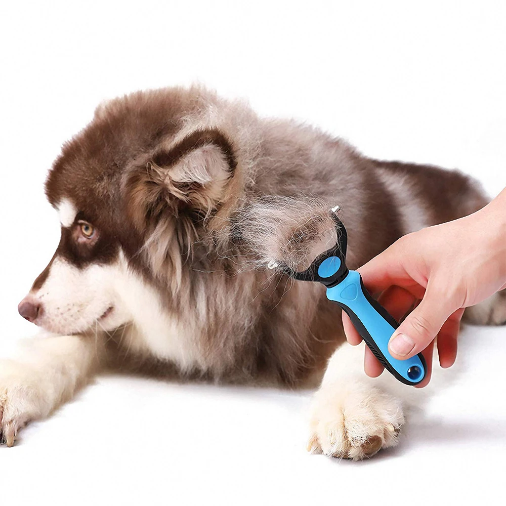 How Do You Remove Undercoat From A Dog