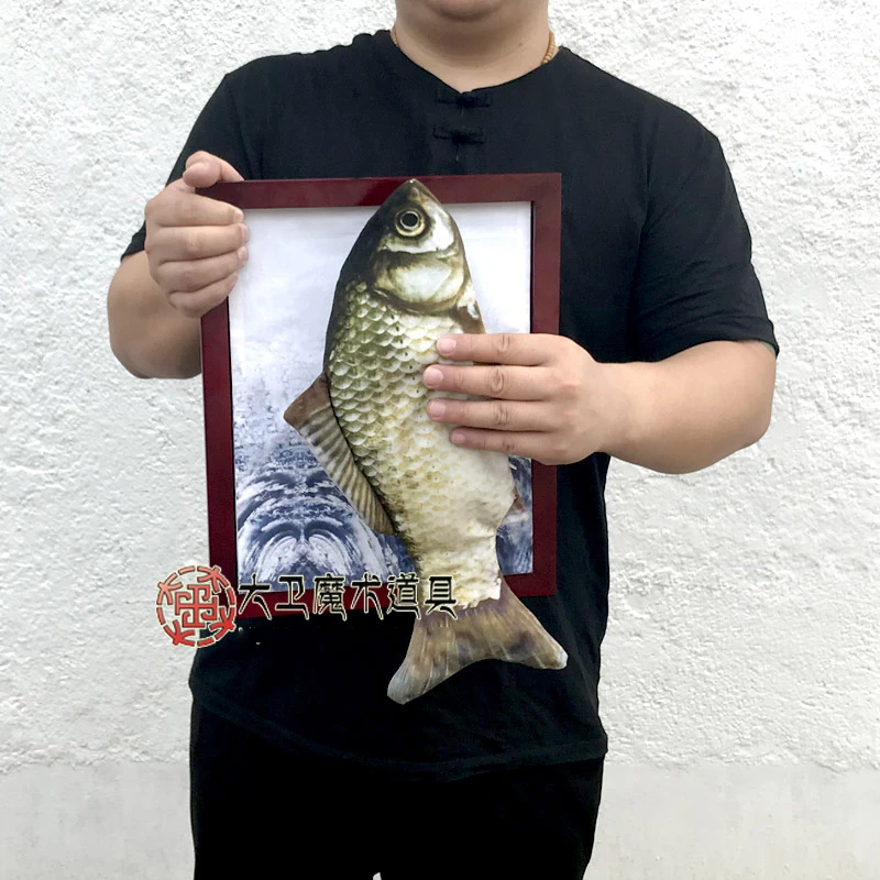 Fish-Frame-Magic-Tricks-Magician-Stage-Party-Gimmick-Props-Illusion ...