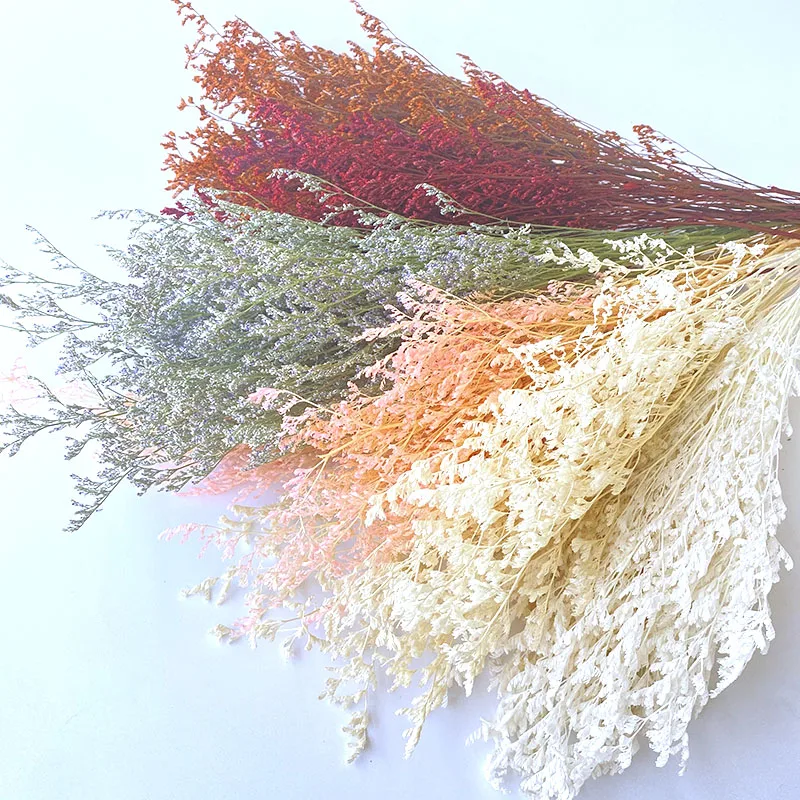 100g-Natural-Fresh-Lover-grass-Dried-Flowers-Gypsophila-Bouquets-Home ...