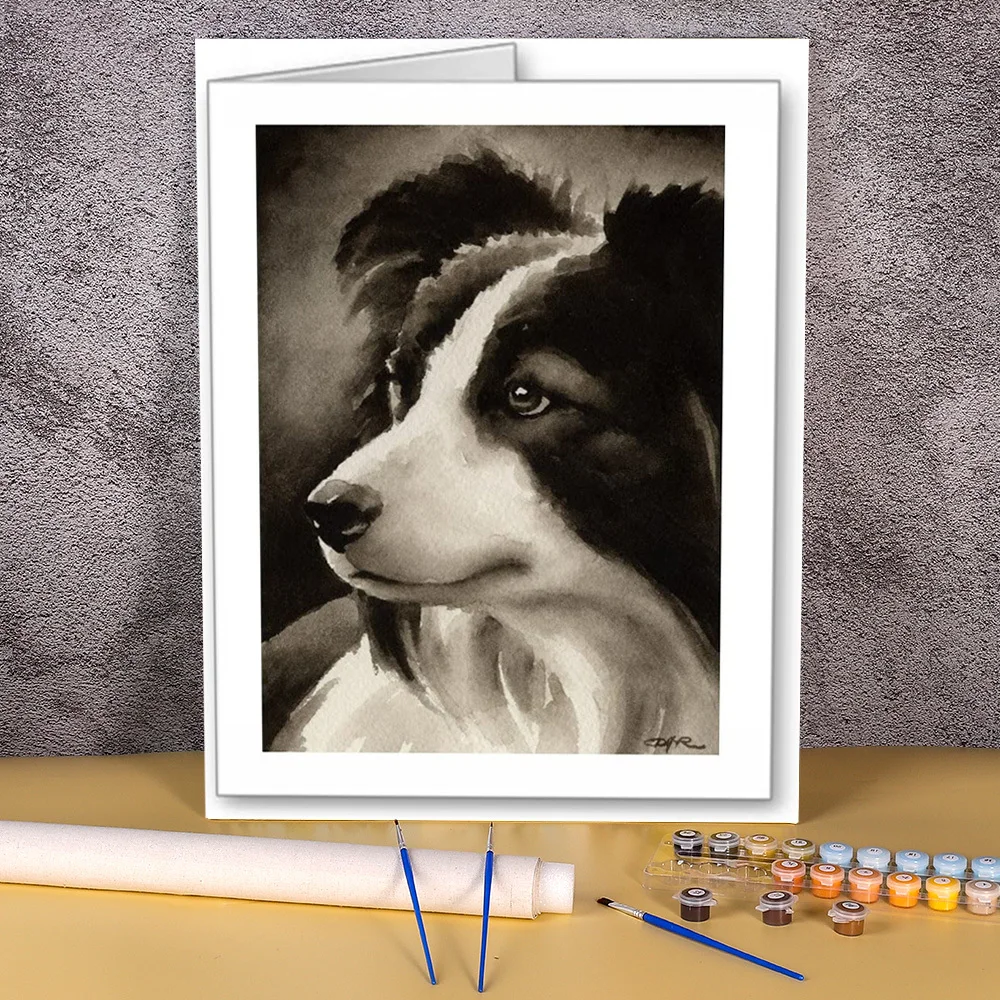 Are Border Collies Good For Kids Projects
