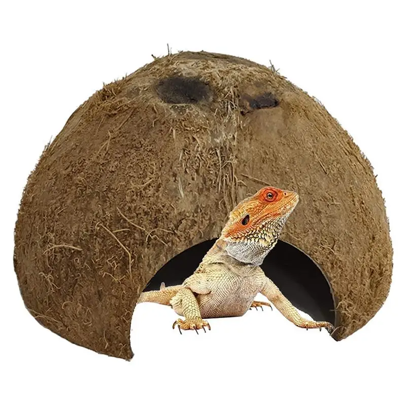 Coconut decoration for reptile and aquatic use Gardening & Plants Home ...