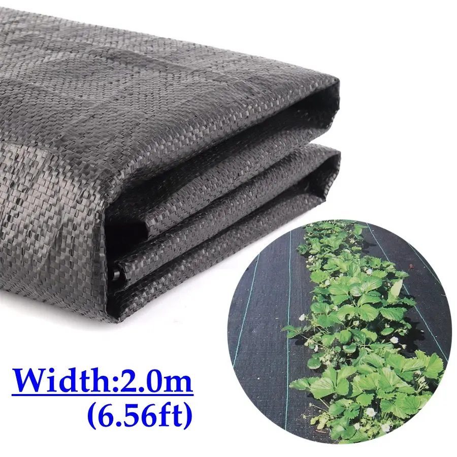 Width-2m-6-56ft-90gsm-PP-Anti-Grass-Ground-Cover-Weed-Barrier-Fabric ...